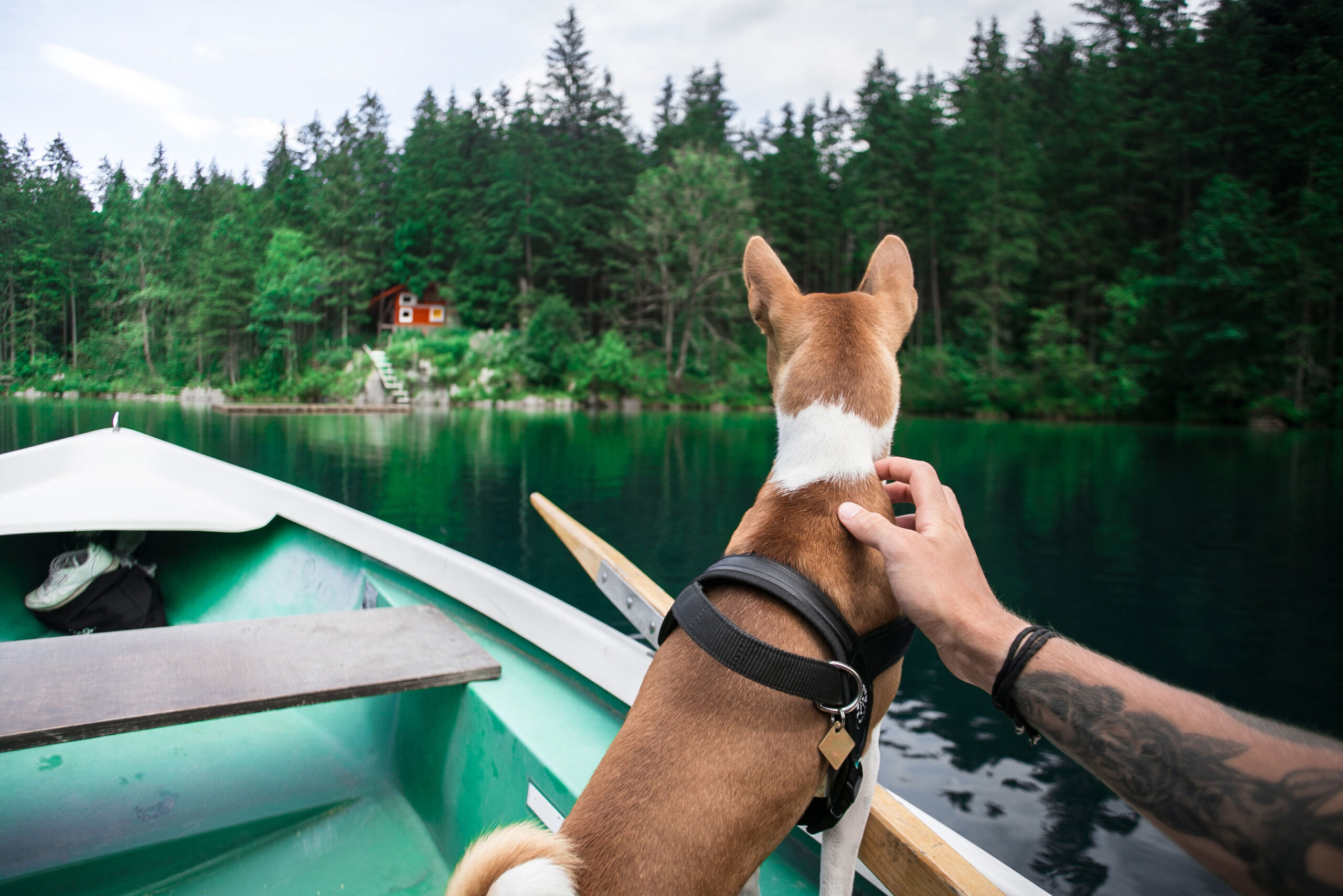 Understanding Cottage Ownership Laws in Ontario - Jeffrey Murray Law